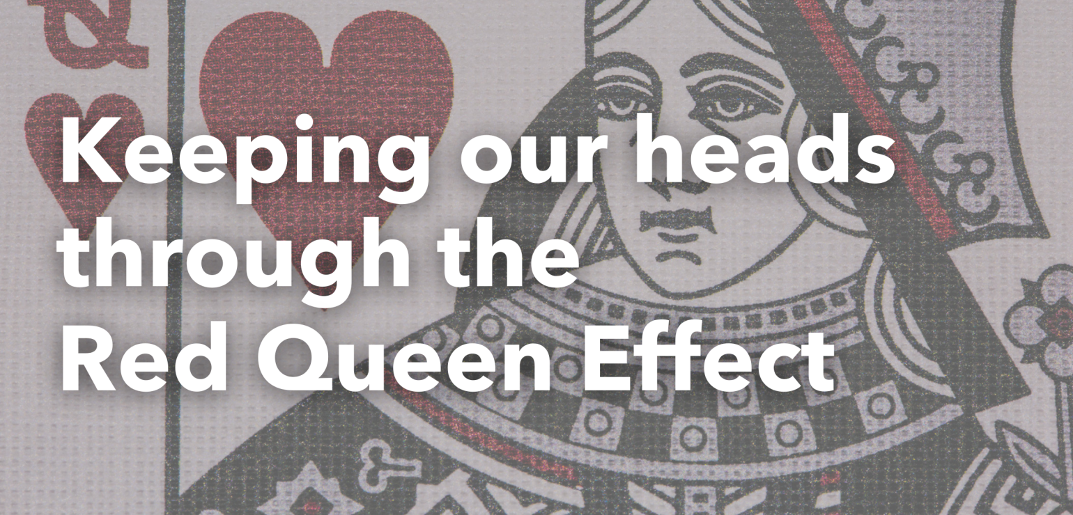 Sheppard Moscow | Organisational Transformation. Made Human.