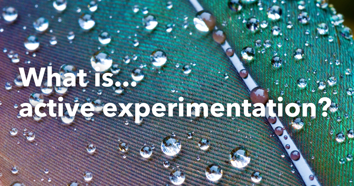 Active experimentation | Sheppard Moscow