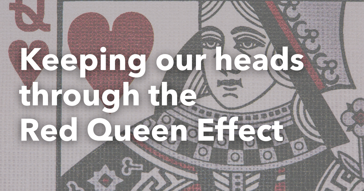 The Red Queen Effect | Sheppard Moscow